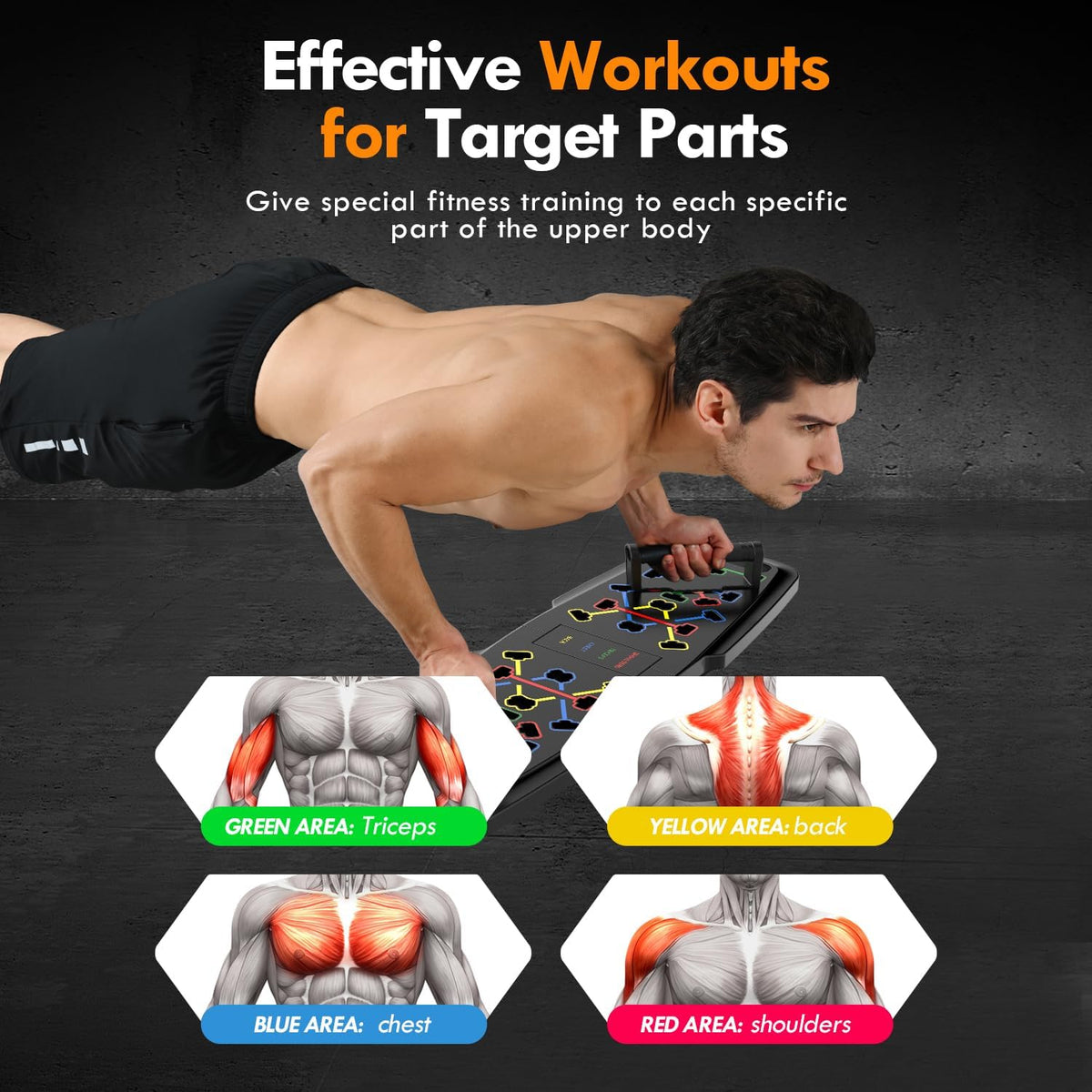 NewEraBoard™ Home Workout Board – New Era Fit